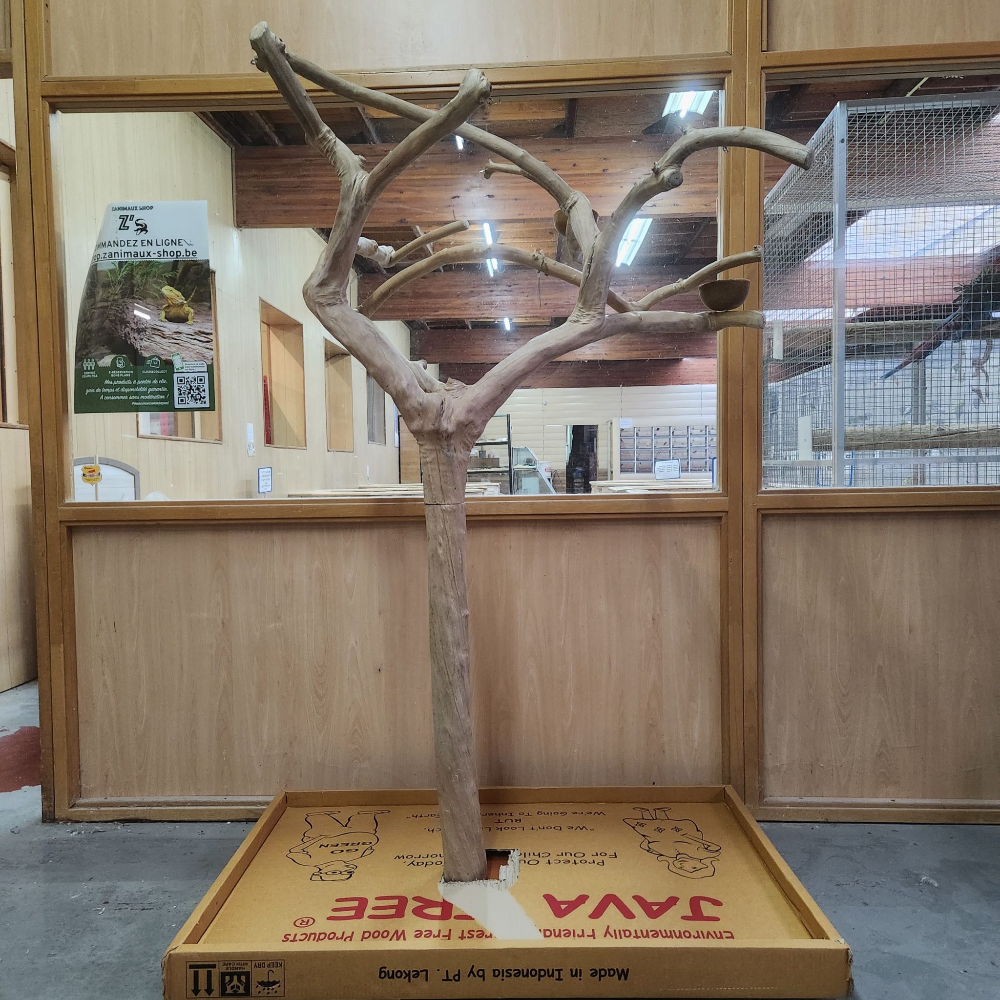 arbre de java xxl perchoir java pour perroquets - Zanimaux Shop