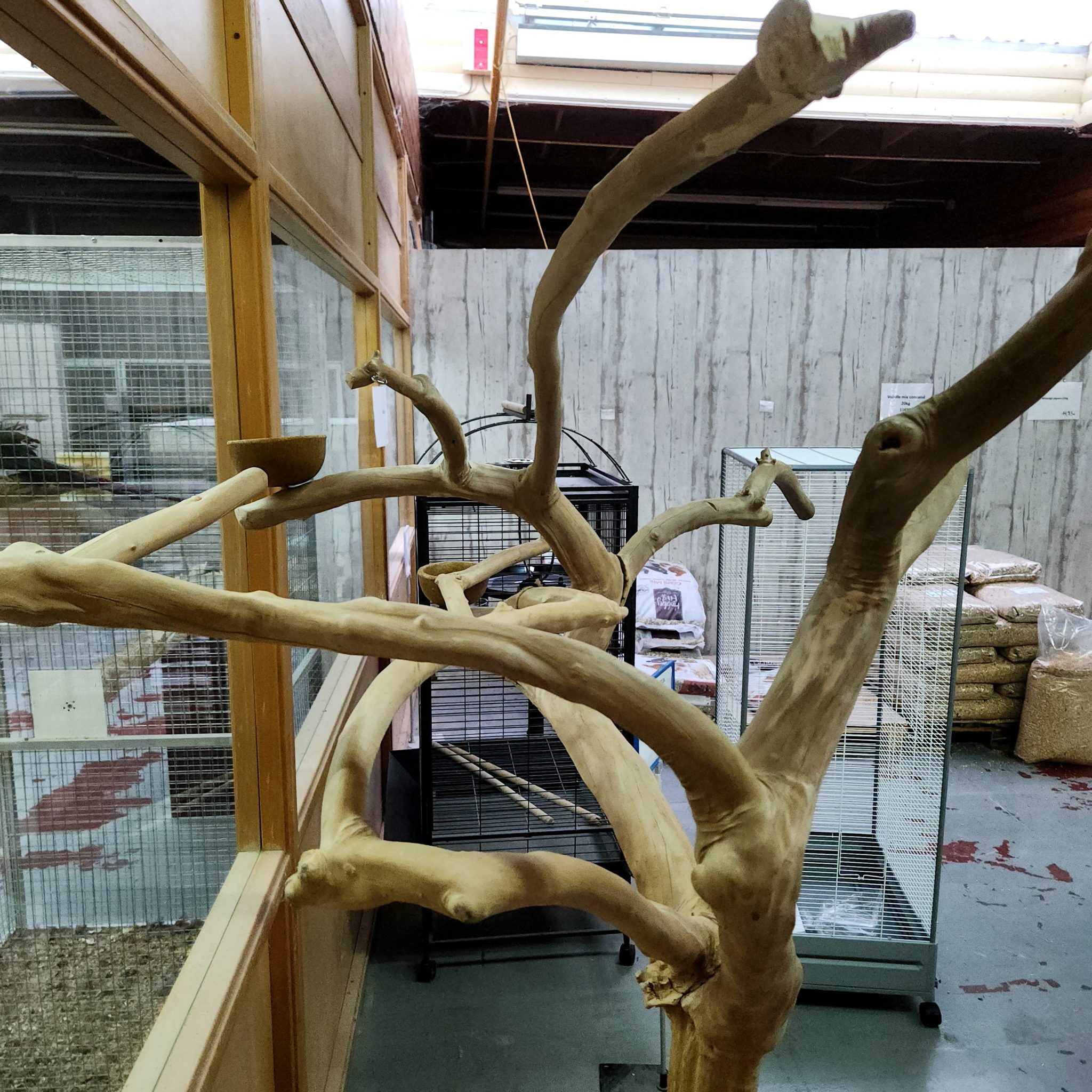 arbre de java xxl perchoir java pour perroquets - Zanimaux Shop