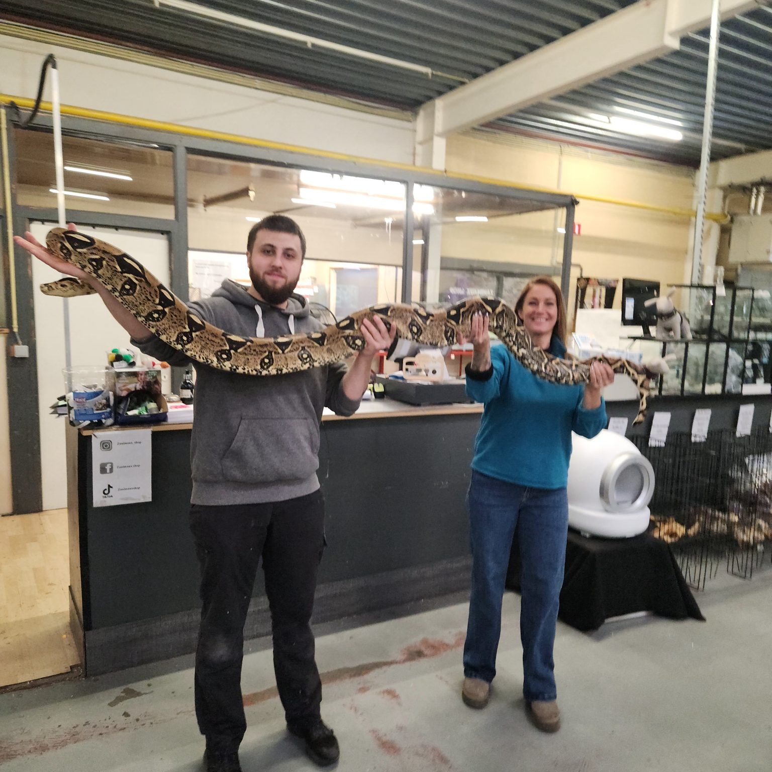 femelle boa constrictor imperator adulte xl + 20kg - Zanimaux Shop